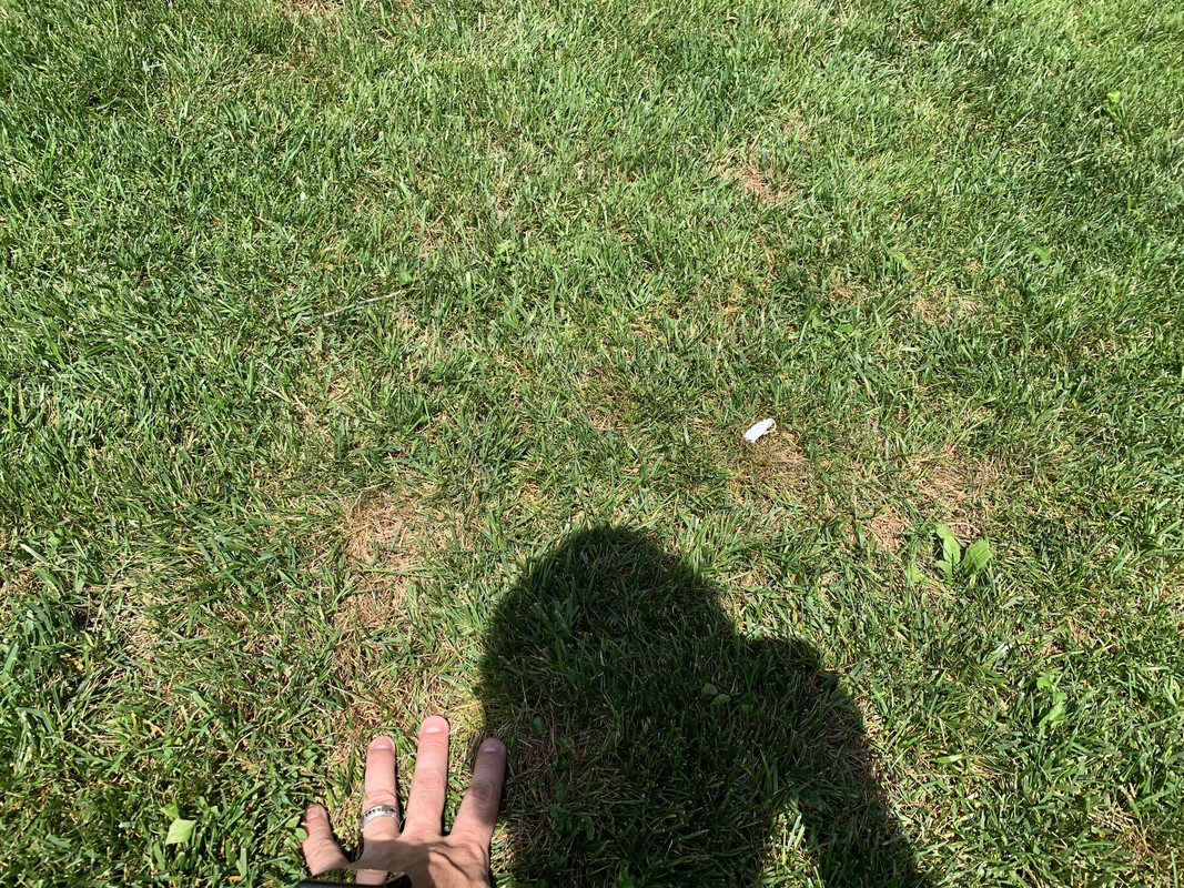 IMG 2104 — Postimages