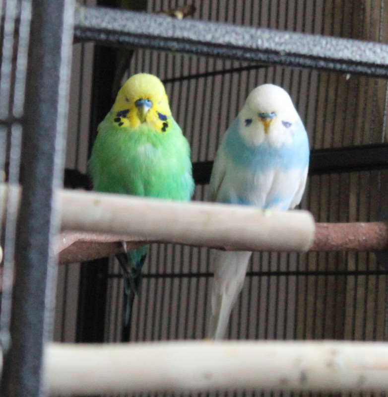 20230907135732 img 0991 — Postimages