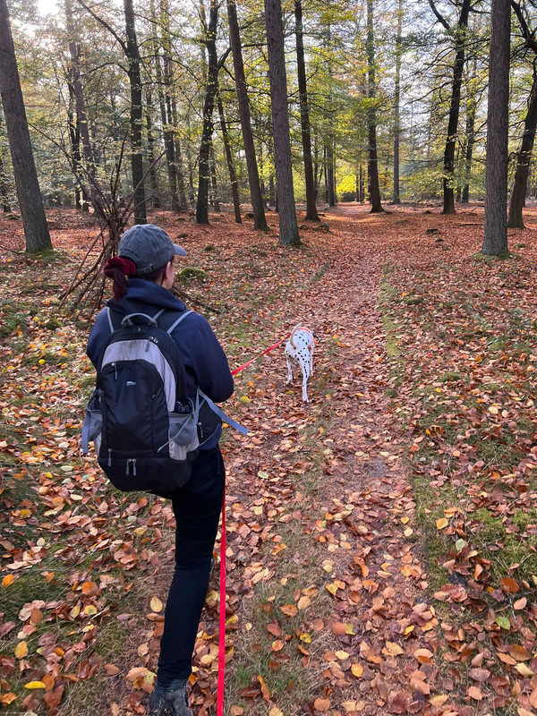 IMG 20221102 WA0013 — Postimages