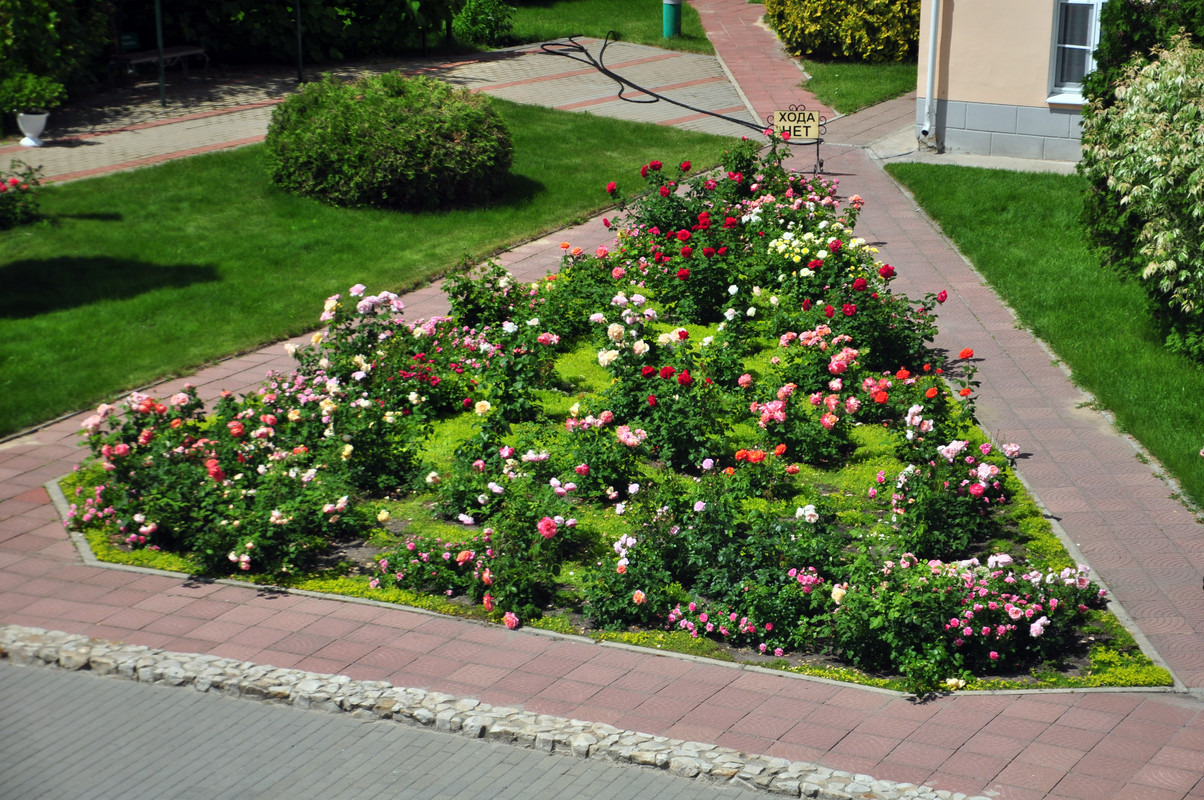 DSC 0075 — Postimages