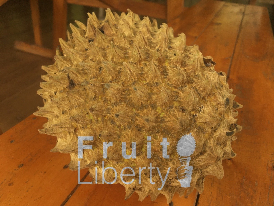 IMG 6597 — Postimages