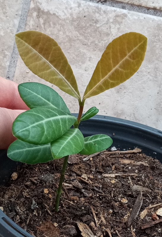 IMG 20240831 192848329 2 — Postimages