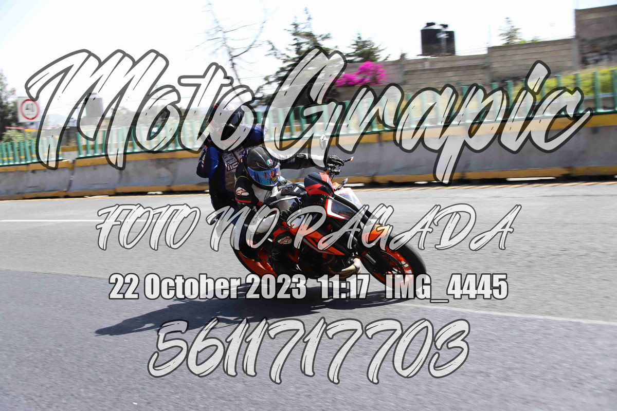 motgr IMG 4445 — Postimages