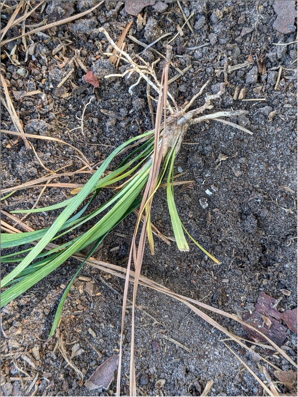 i view64 c S6 Etxe3eg — Postimages