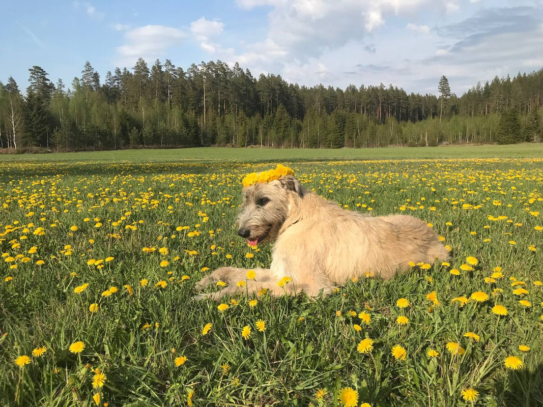 IMG 20230516 134530 353 — Postimages