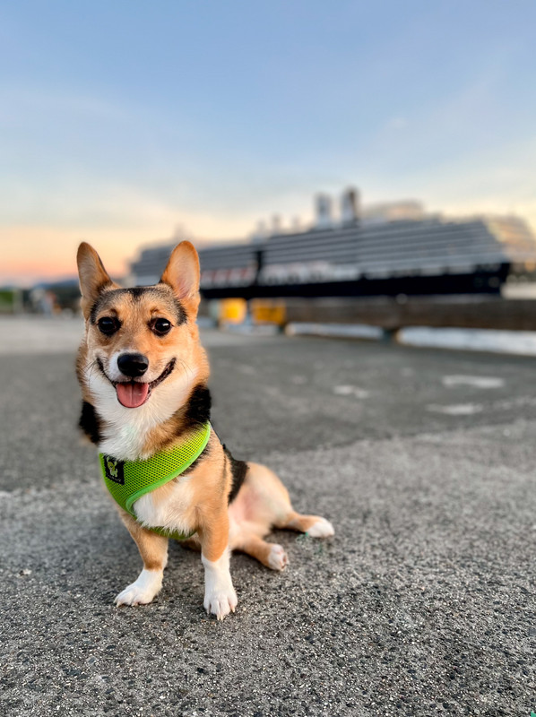 2 ZSULBa f GBy Rz7nq Xvo IKNmp AGCJVL2 KNq QYff GR8 — Postimages