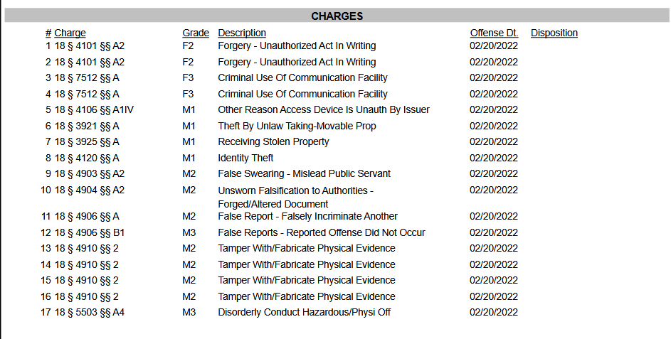 Erie TV reporter (Haley Potter) arrested - accused of fake stalking ...