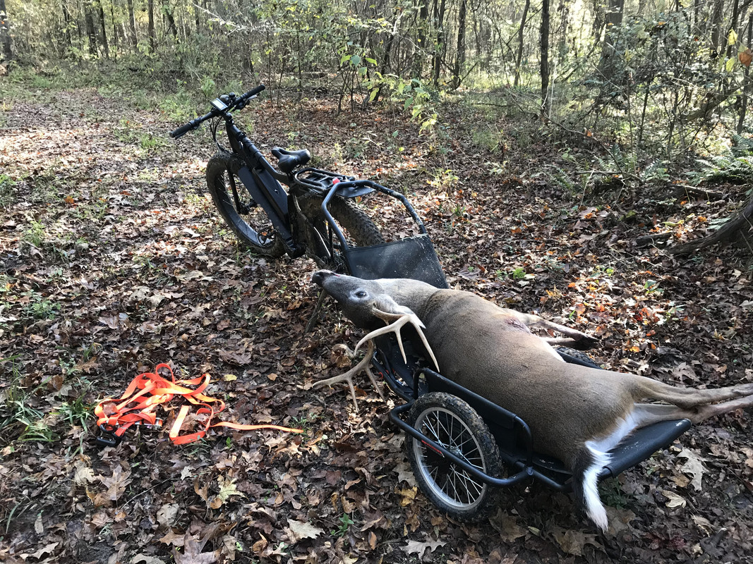 13 F0 FFBD 151 C 4791 BADA EDB927 F51 B9 D — Postimages