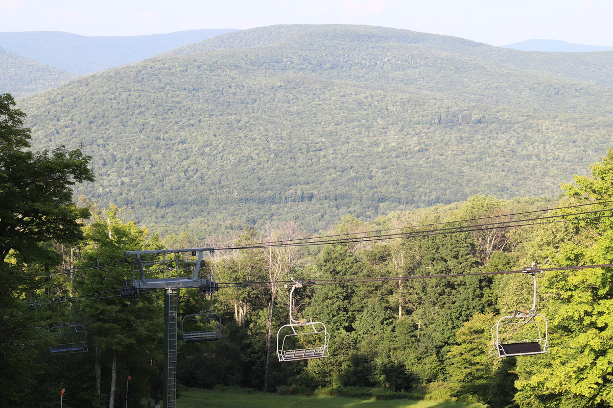 IMG 1431 — Postimages