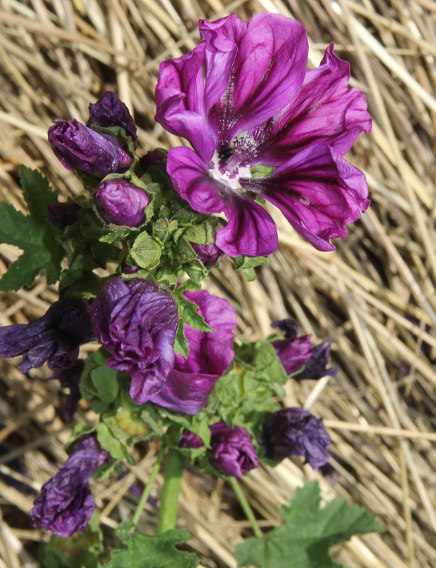 IMG 2403 2 — Postimages