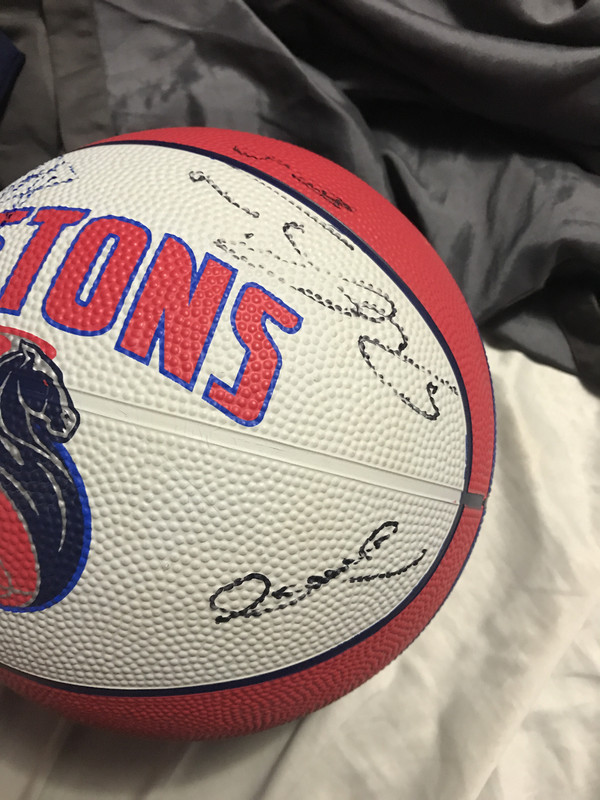 IMG 8436 — Postimages