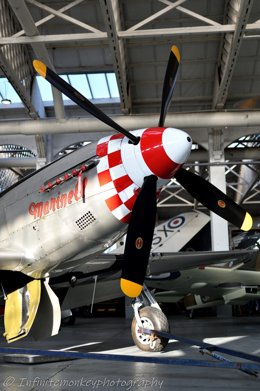 DSC 2791 — Postimages