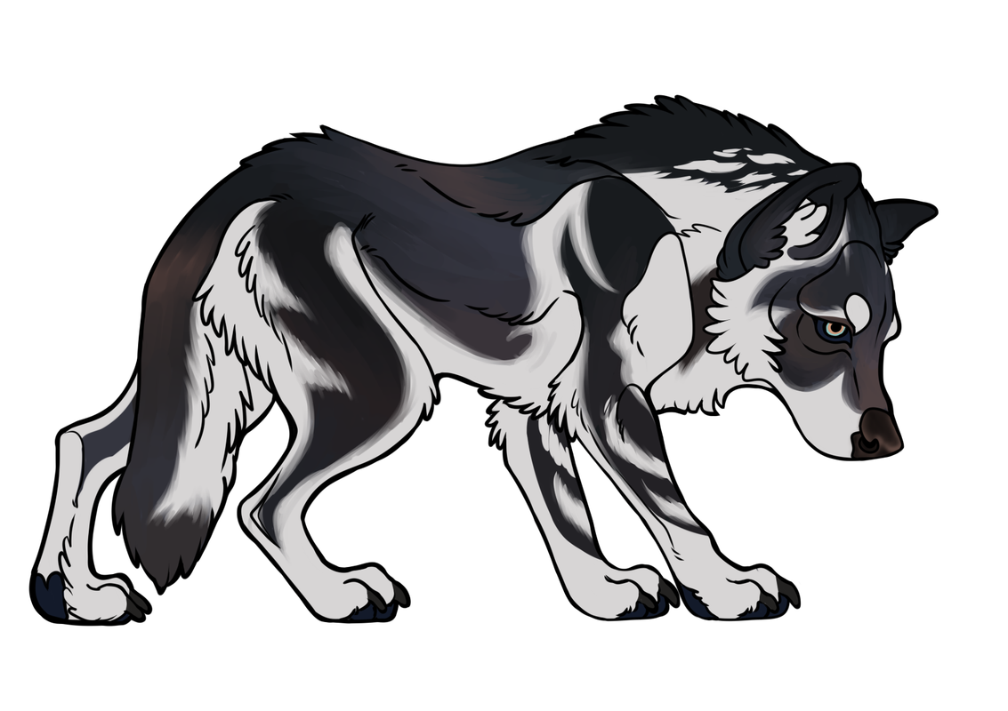 OPEN FLAT FULLBODY / GC/SC/USD |:| Wolvden