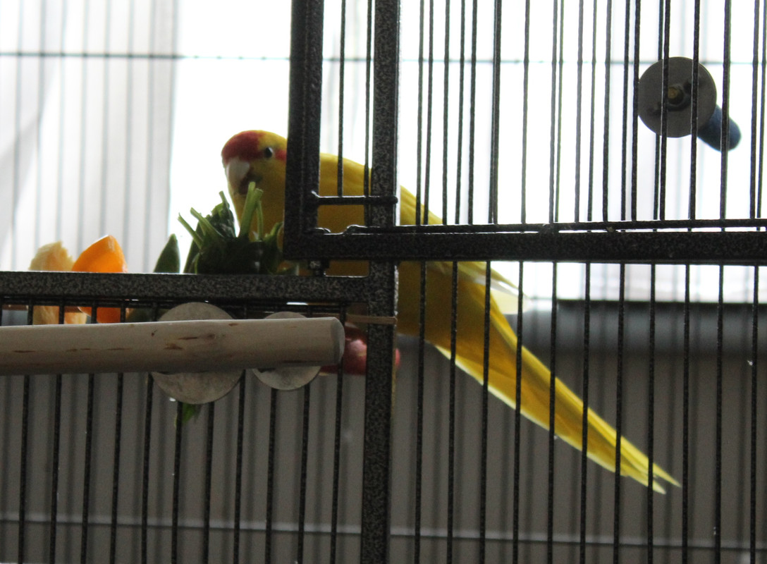 20230705102103 IMG 0277 — Postimages