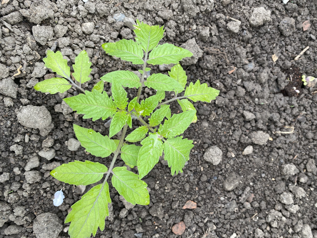 E1 AD0727 7 F02 4396 BDA6 ED9 DE53385 AB — Postimages