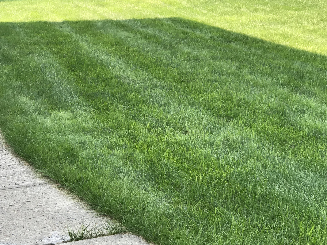 2018 08 15 16 23 05 — Postimages