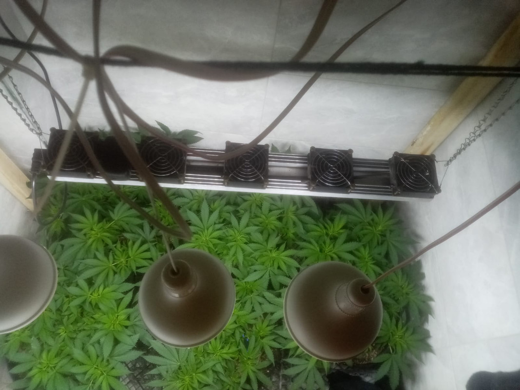 foto no exif 2 — Postimages