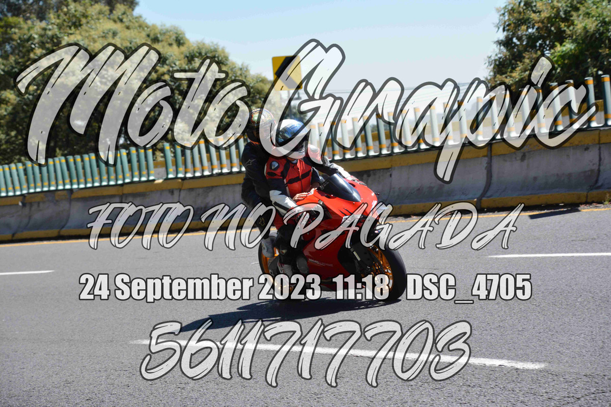 motgr DSC 4705 — Postimages