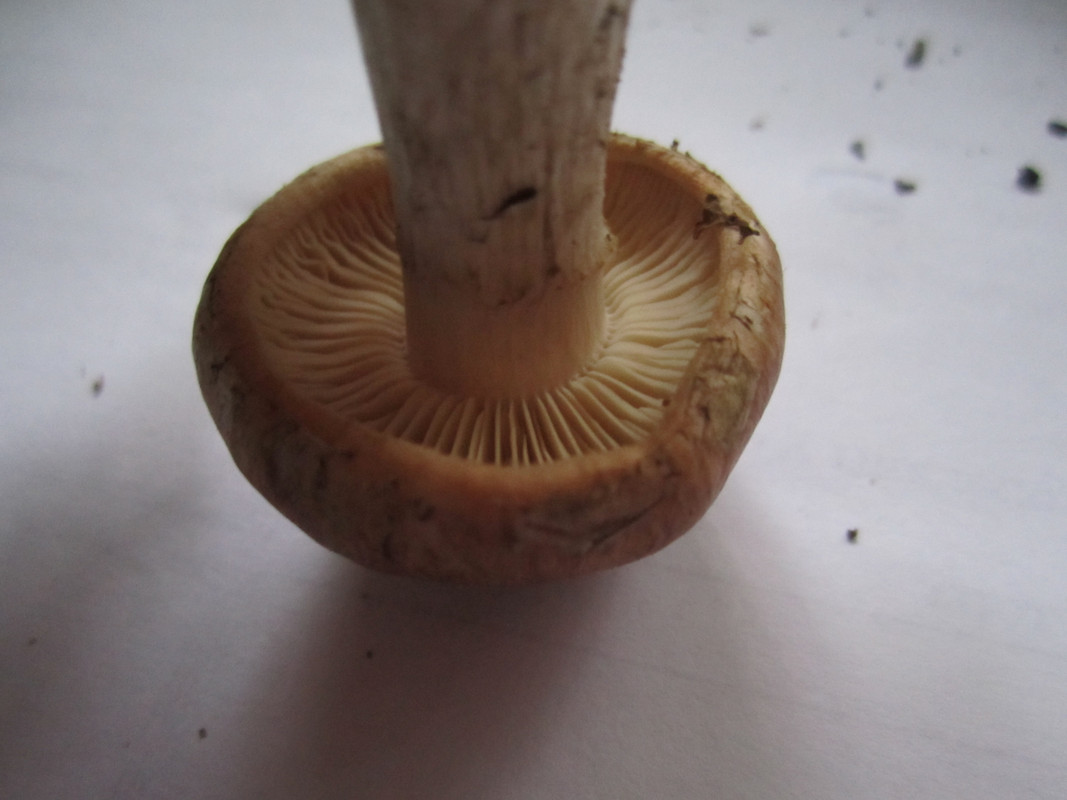 IMG 2221 — Postimages