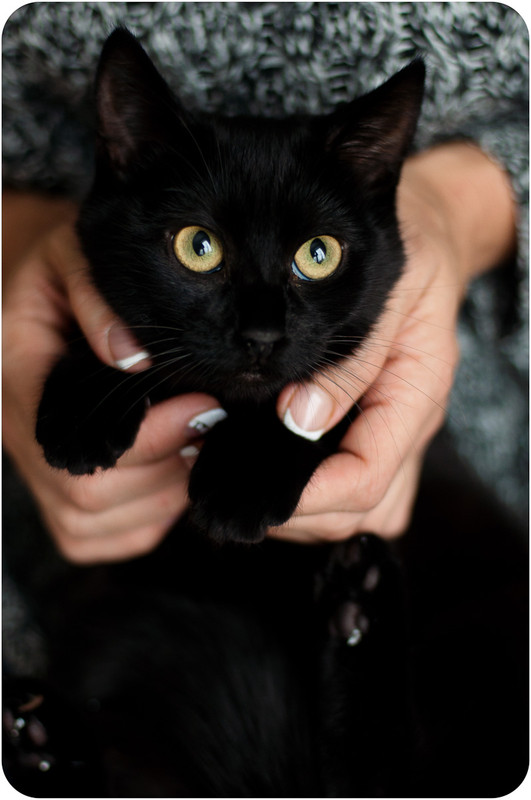 vik 33 — Postimages