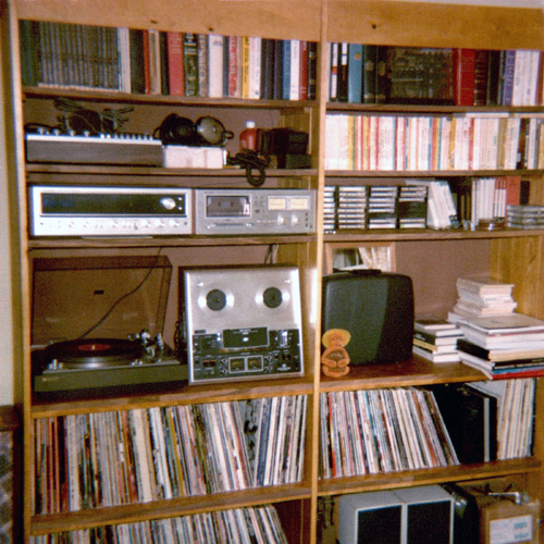 Is Pine (Wood) durable enough for a book case to house Record Albums ...