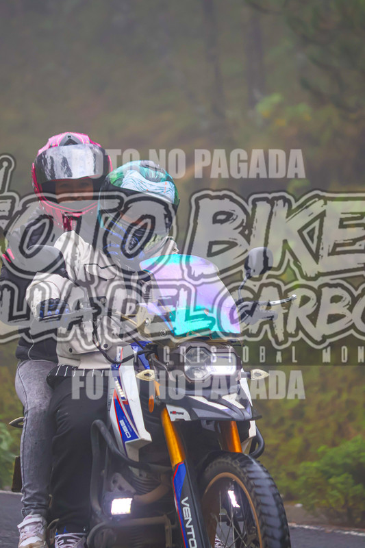 cartlz6 115 — Postimages