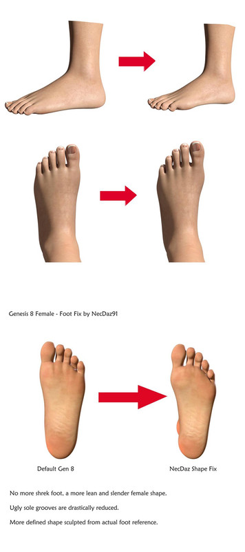 Foot Reference 3d