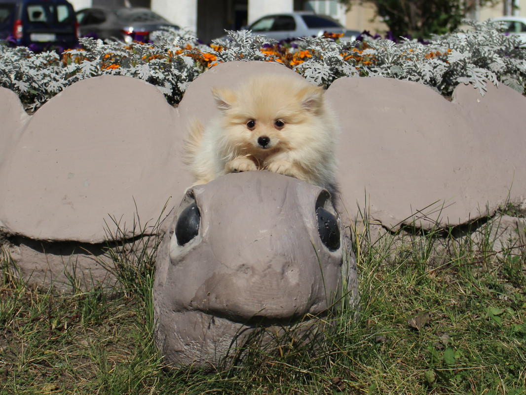 IMG 0139 — Postimages