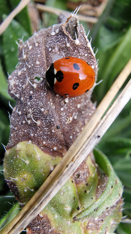 20240205 123649 — Postimages