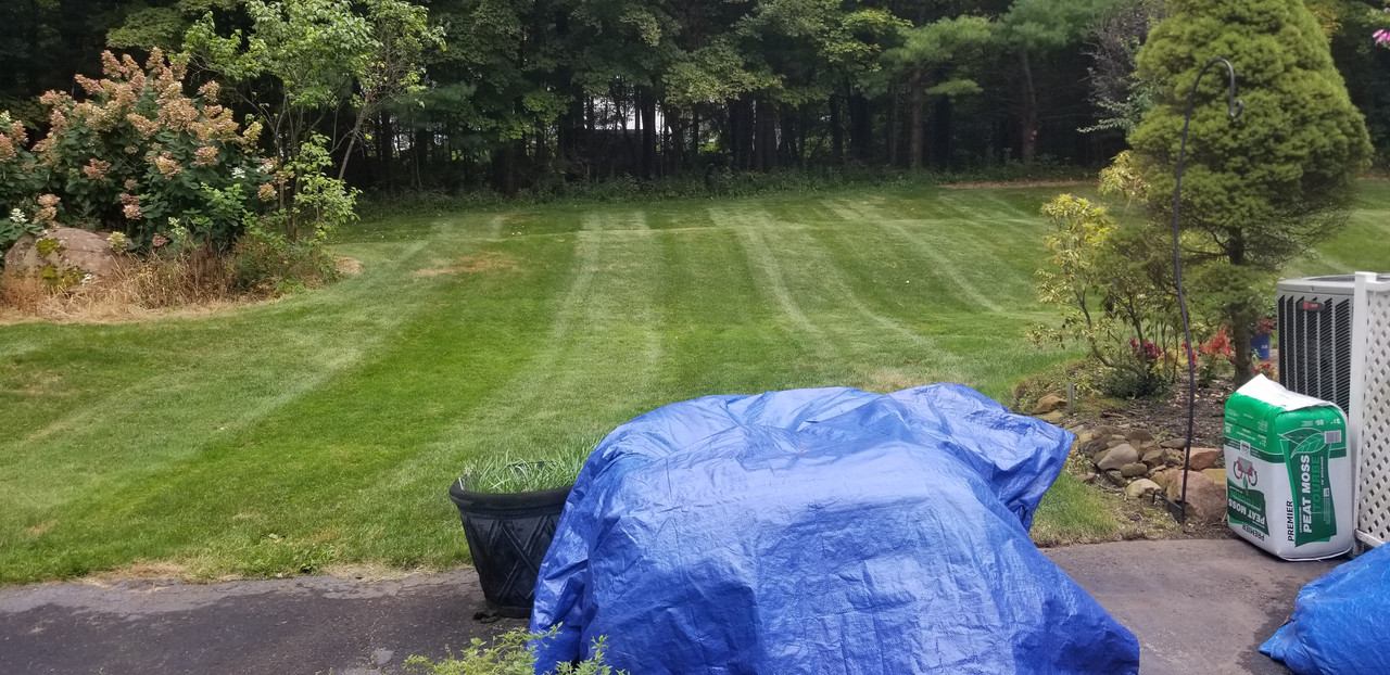 20210917 152035 — Postimages