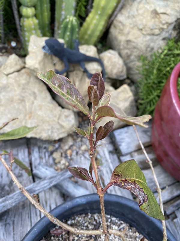 039 FB8 C4 48 EC 48 EC 87 DB 1 CA5 A680649 A — Postimages