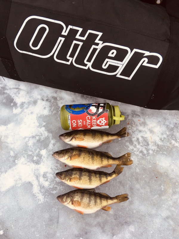 31 CC19 DB 23 F4 452 B A7 C9 3 C3 E510 AADBF — Postimages