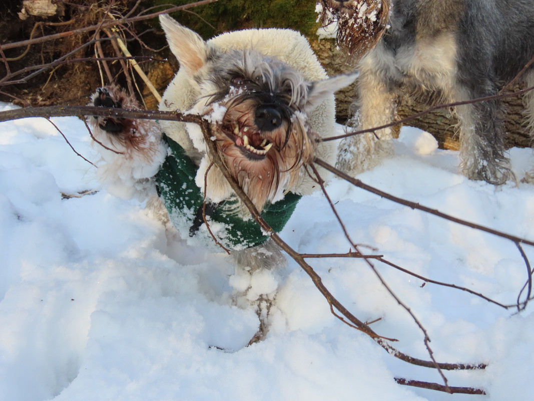 IMG 0704 — Postimages