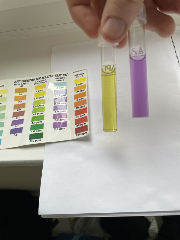 70 B54672 61 E4 48 CF 991 E 92 F802 E8 A137 — Postimages