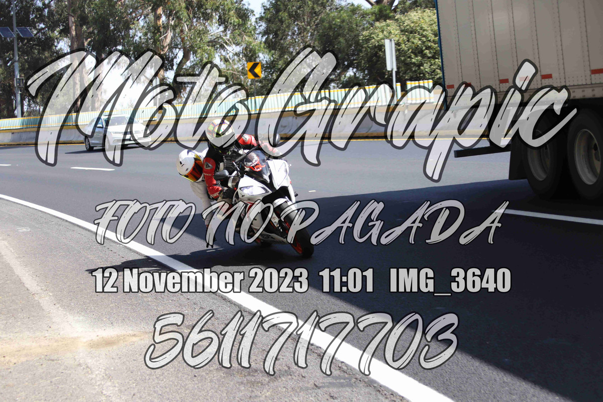 motgr IMG 3640 — Postimages