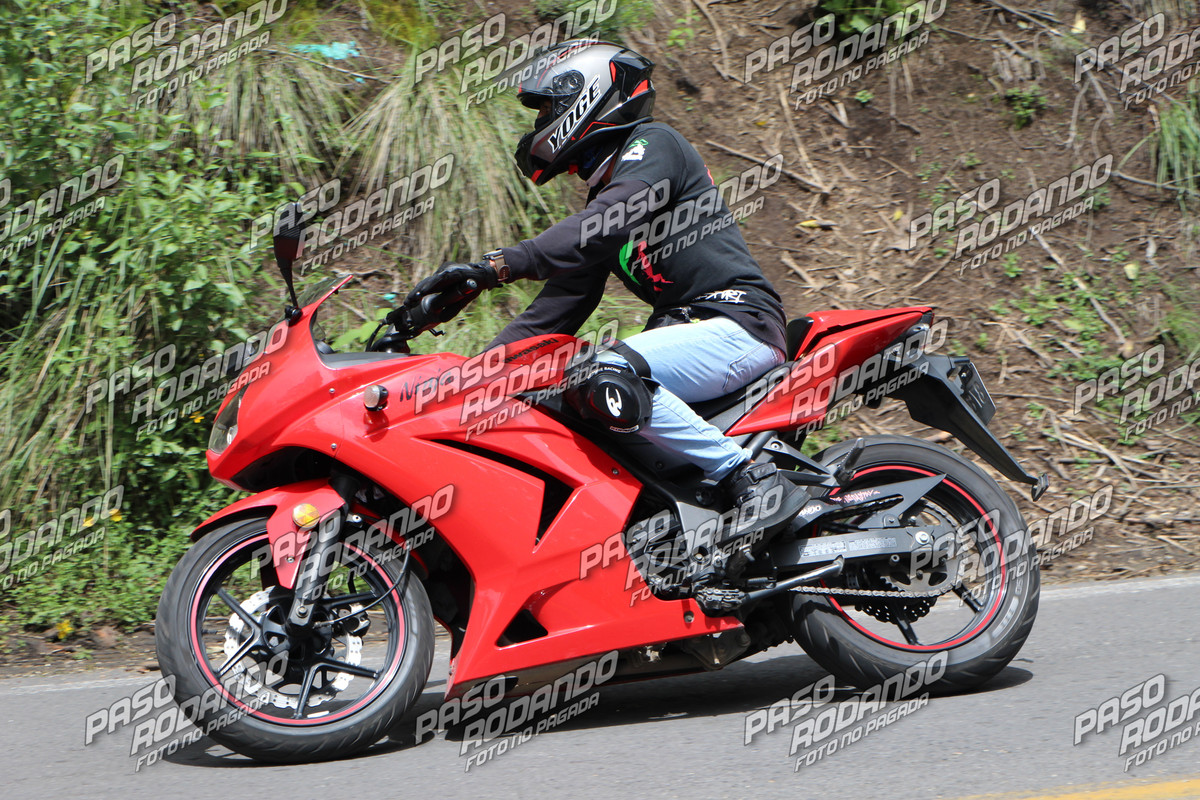 IMG 8264 wm 3302801 2 watermarked — Postimages