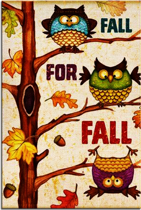 Owl fall 5 — Postimages