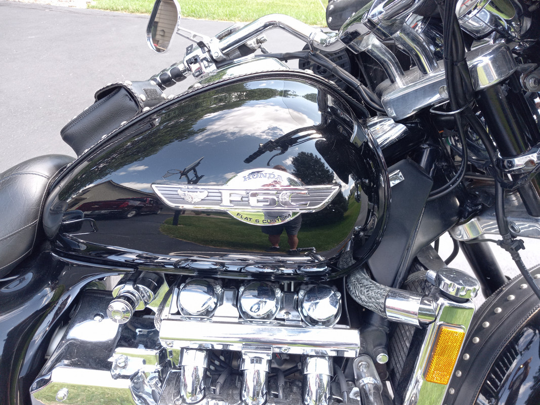 steve tank — Postimages