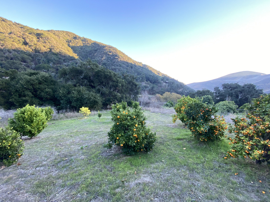 A6 B3 B0 E6 0 AE5 4 E65 BCE8 9 FB457 B91 BFA — Postimages