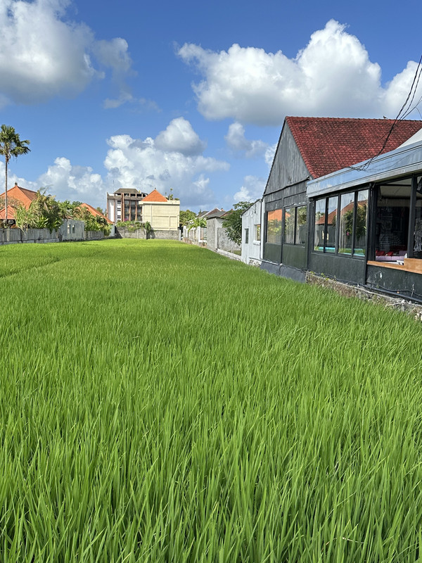 IMG 1419 — Postimages