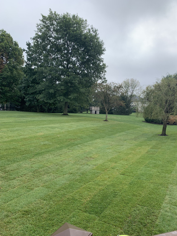 IMG 4036[2] — Postimages