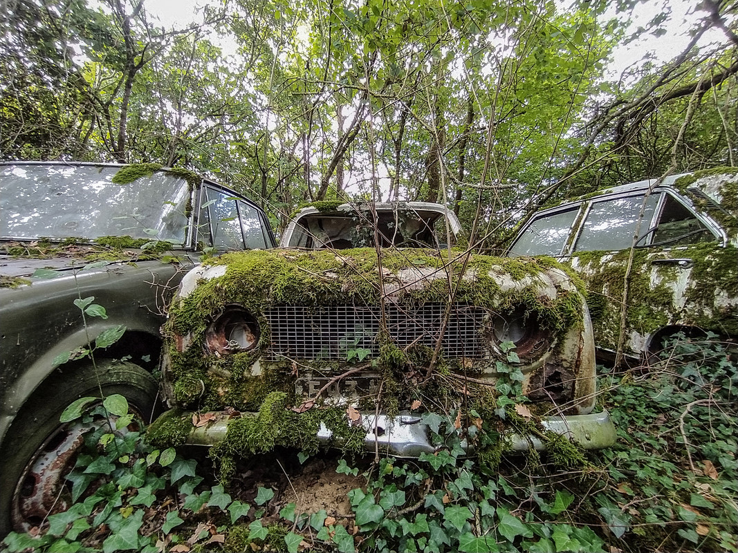 IMG 20200823 115942 modif — Postimages