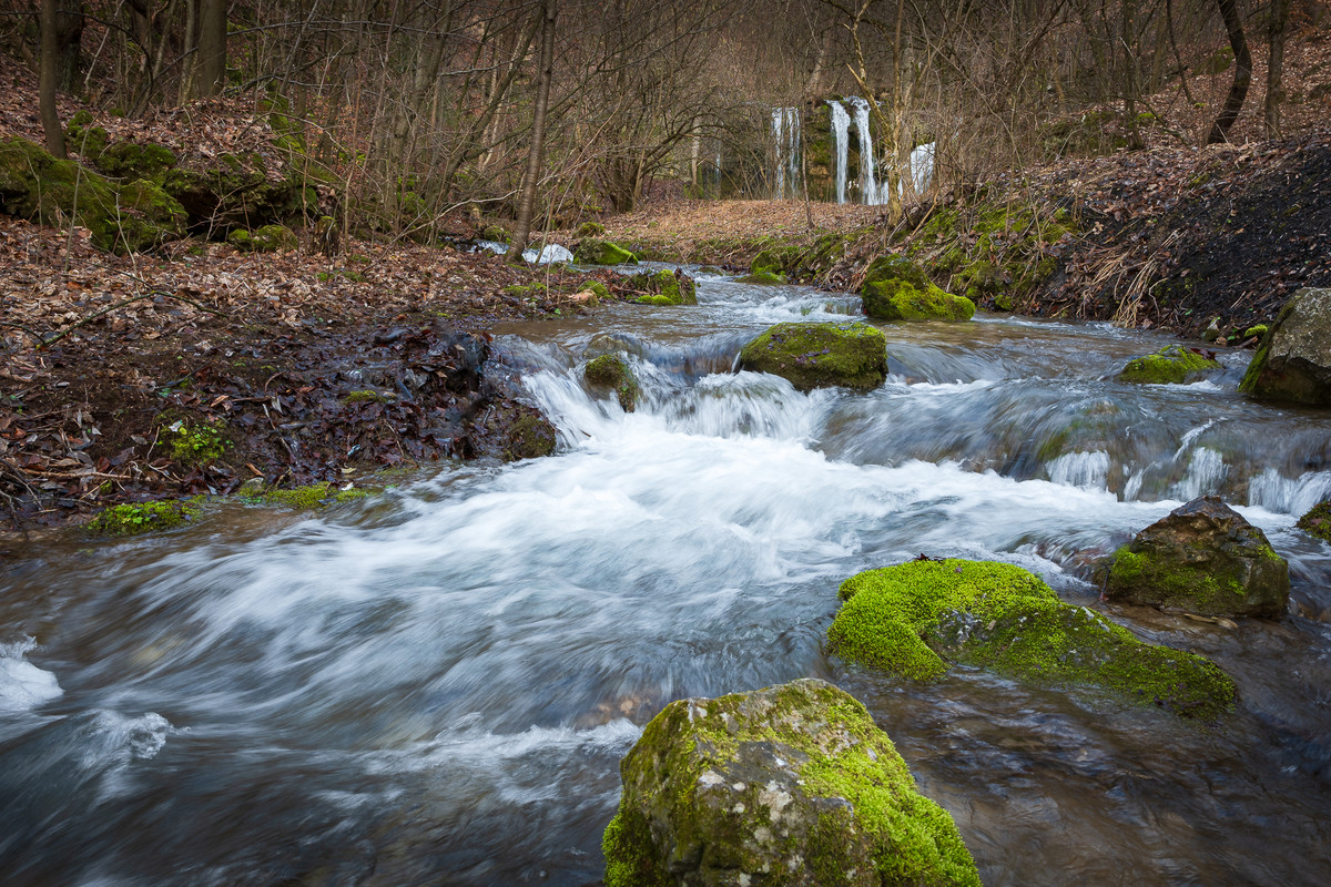 DSC 0595 — Postimages