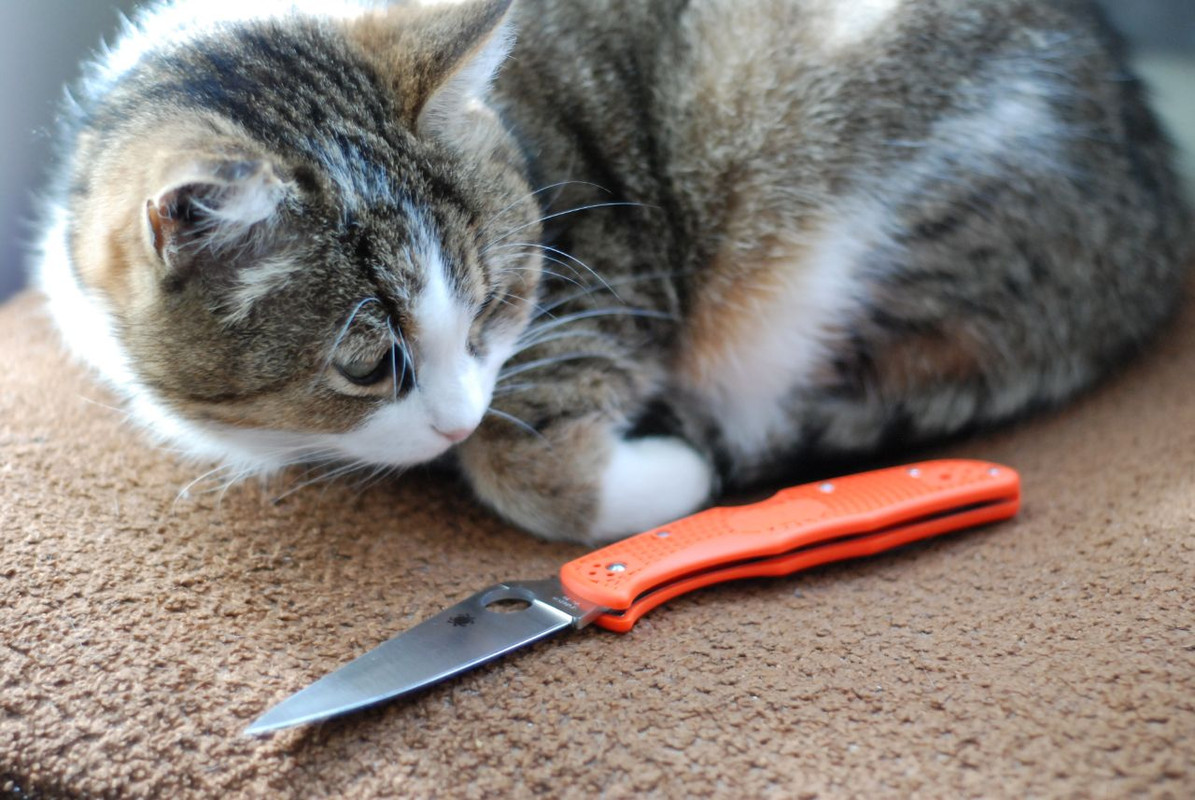 IMG 20220503 111237 707 — Postimages