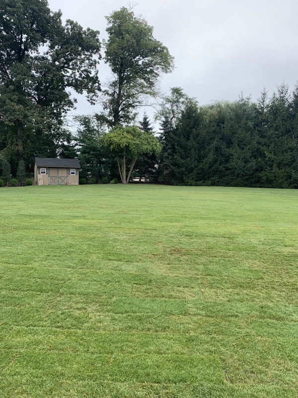 IMG 4033[1] — Postimages