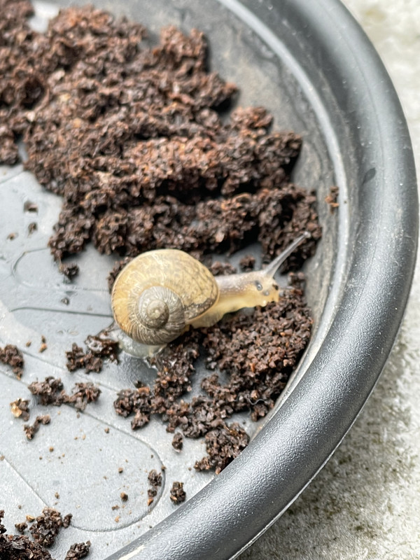 IMG 7288 — Postimages