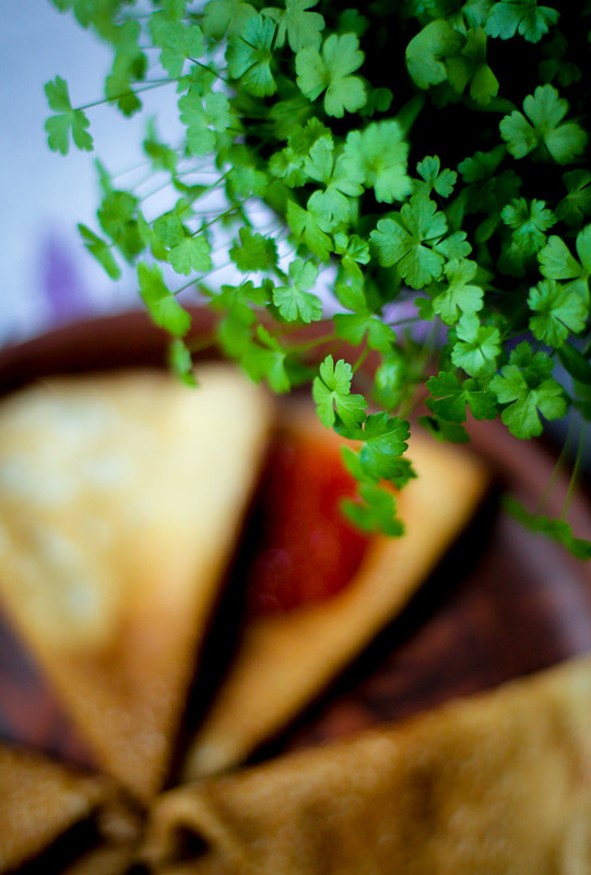 IMG 3955 — Postimages