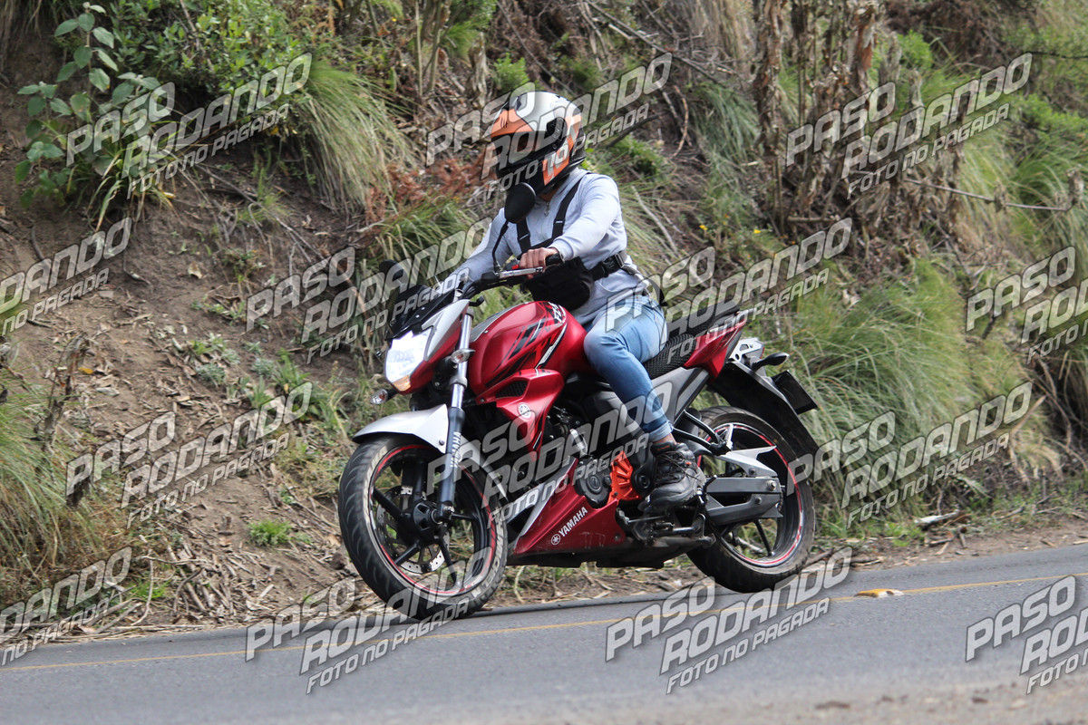 IMG 6864 wm 352610 8999999999 watermarked — Postimages