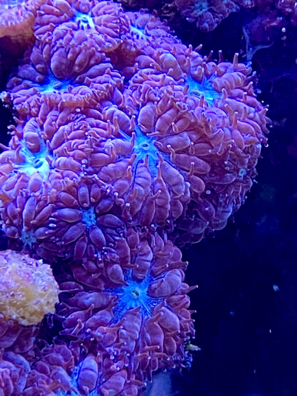 IMG 1325 — Postimages