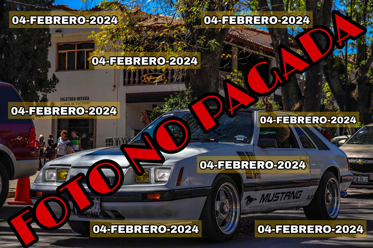 CV 1004 — Postimages